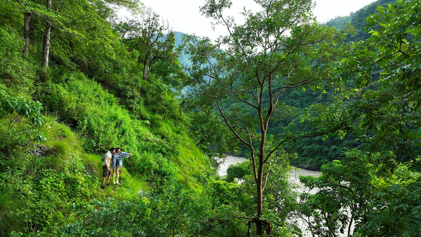 Gallery – VILEEN Rishikesh – A Wellness Resort by Ganga Kinare